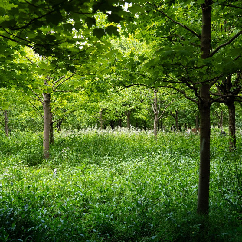 gwsylvia - 공원, 만들어진 #9 | hypeN