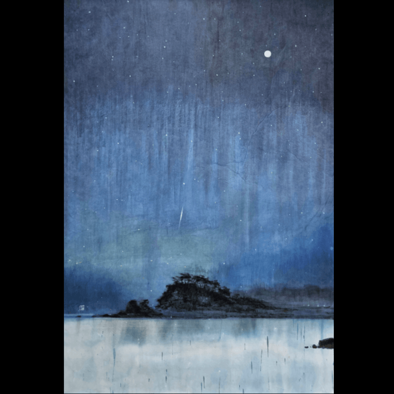 Lee gwan-su 李官洙 - 별빛이 내린다. | hypeN